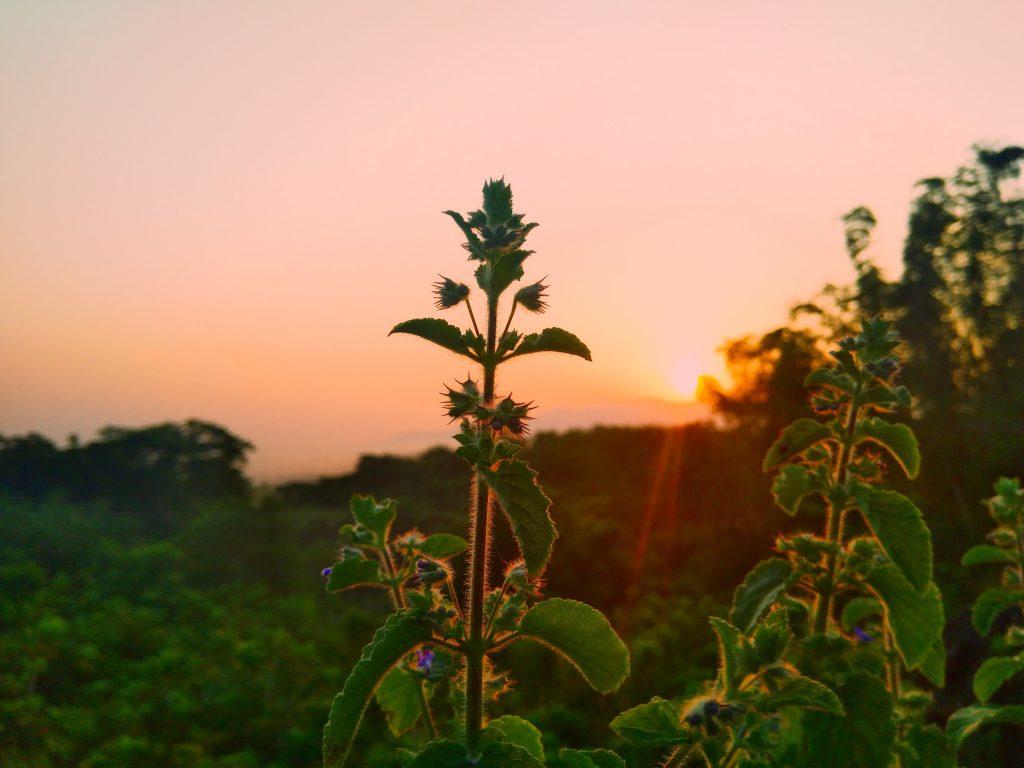 Kalahating Dekada | Boiling Waters