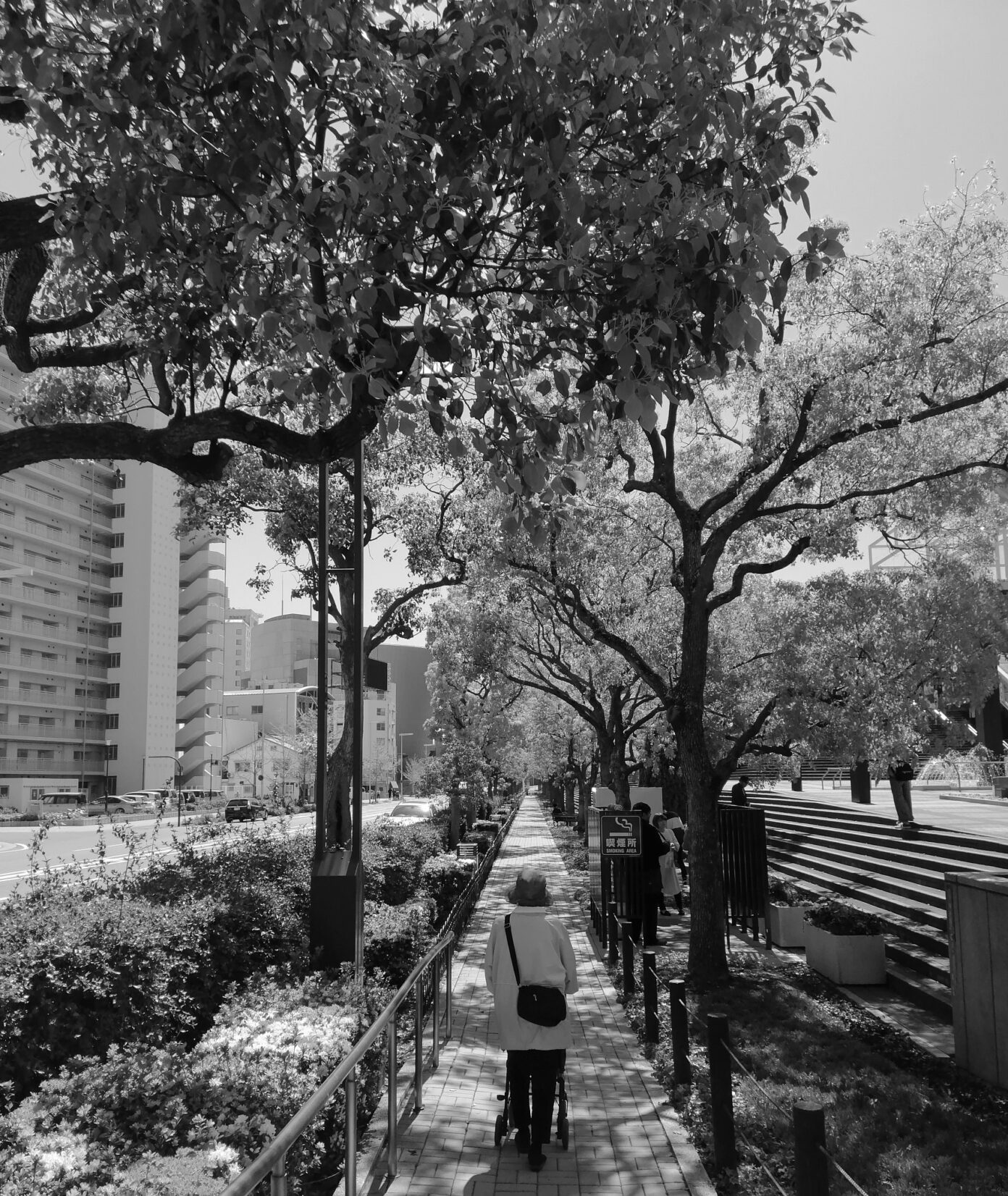 A Lonely Figure | Boiling Waters