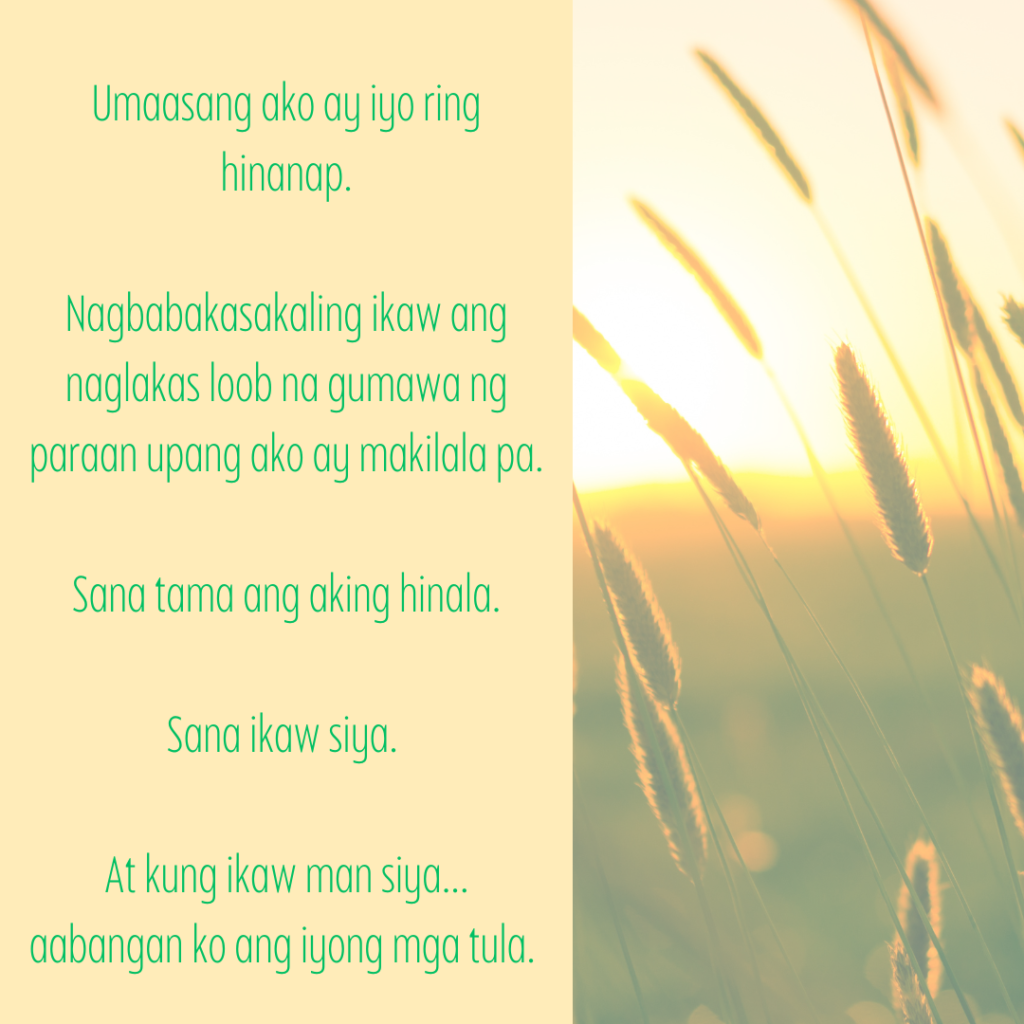 EWIC | Boiling Waters